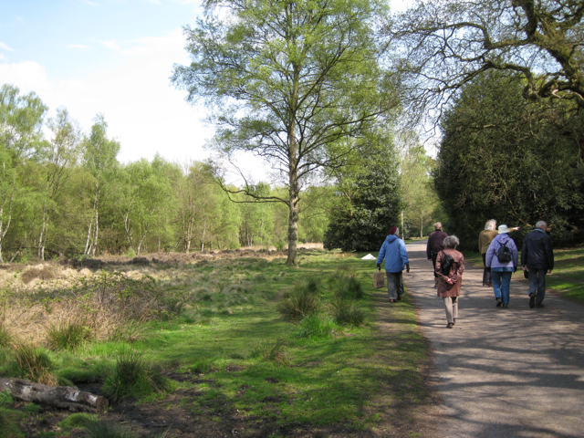 22/07/23 Summer Field Day and AGM at Sutton Park - CBA West Midlands ...
